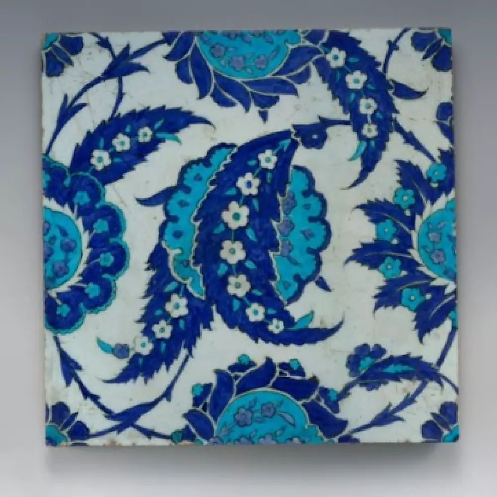 Plurana: Generate vector design